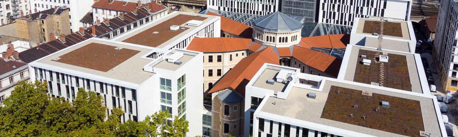 Study at UCLy - UCLy